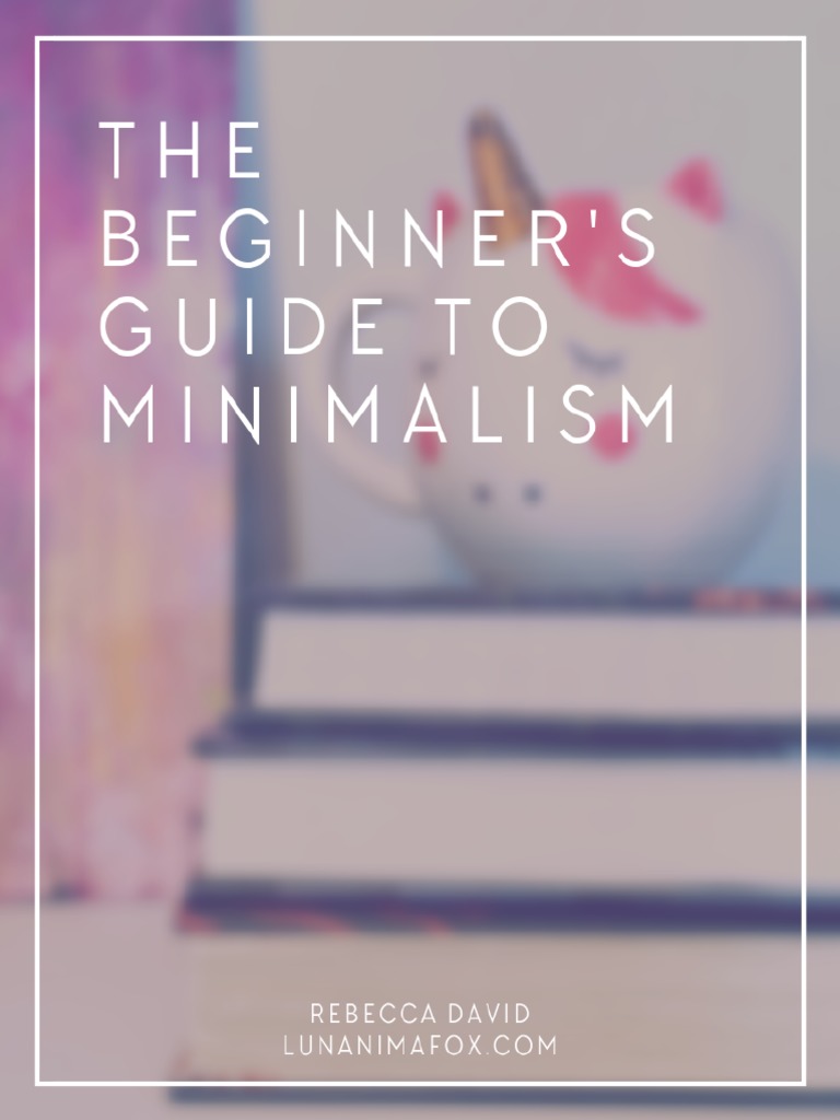 Beginers Guide | PDF