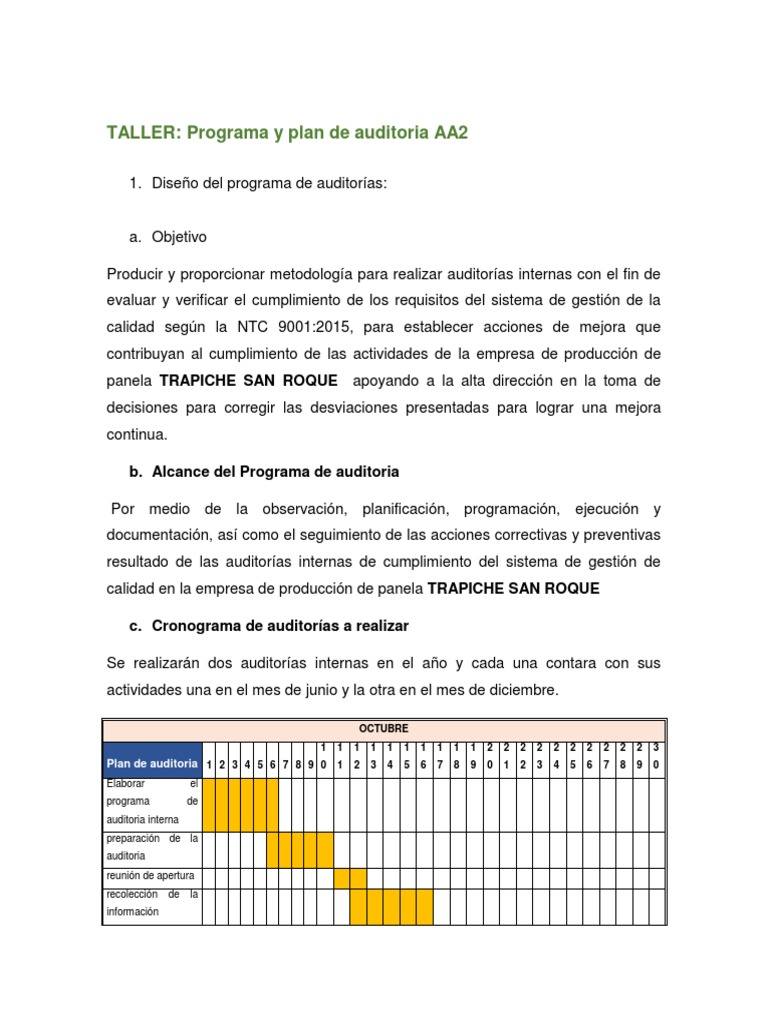 Programa y Plan de Auditoria AA2 | PDF | Auditoría | Planificación