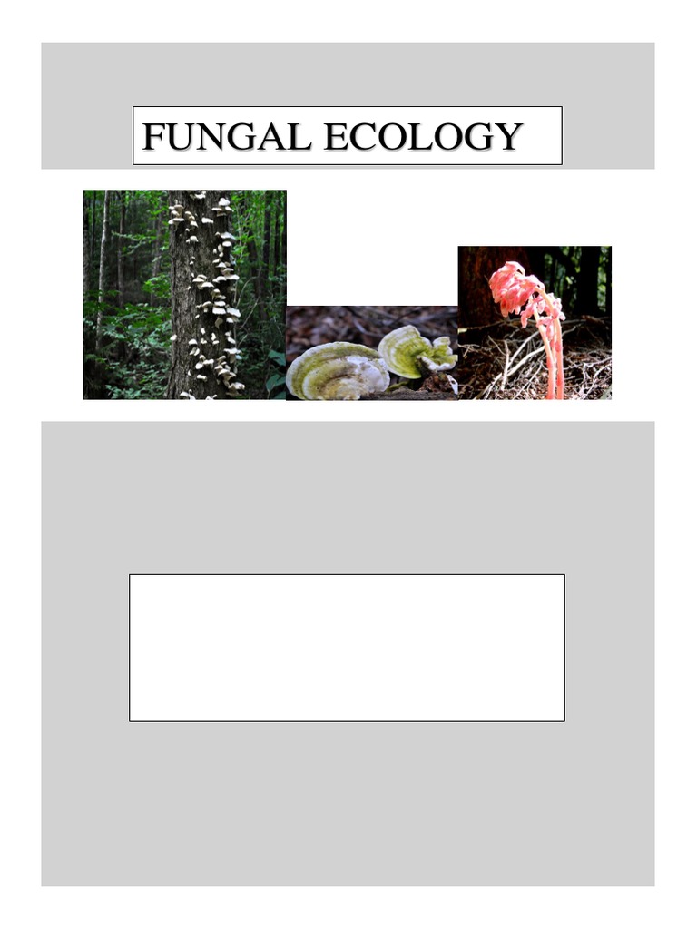Fungal Ecology | PDF | Fungus | Plants