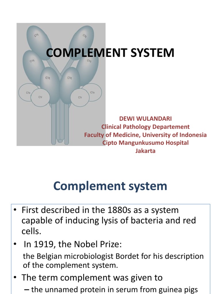 Complement System | PDF | Complement System | Biochemistry