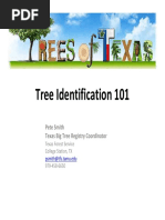 Tree Identification Key Printable: Click Here To Download | PDF ...