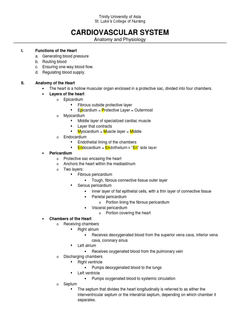 Cardiovascular System: Anatomy and Physiology | PDF | Heart Valve ...