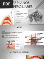 Anatomía de la región superciliar | PDF | Anatomía humana | Cabeza y ...