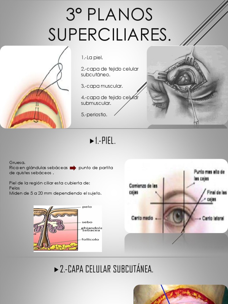 3° Planos Superciliares. | PDF