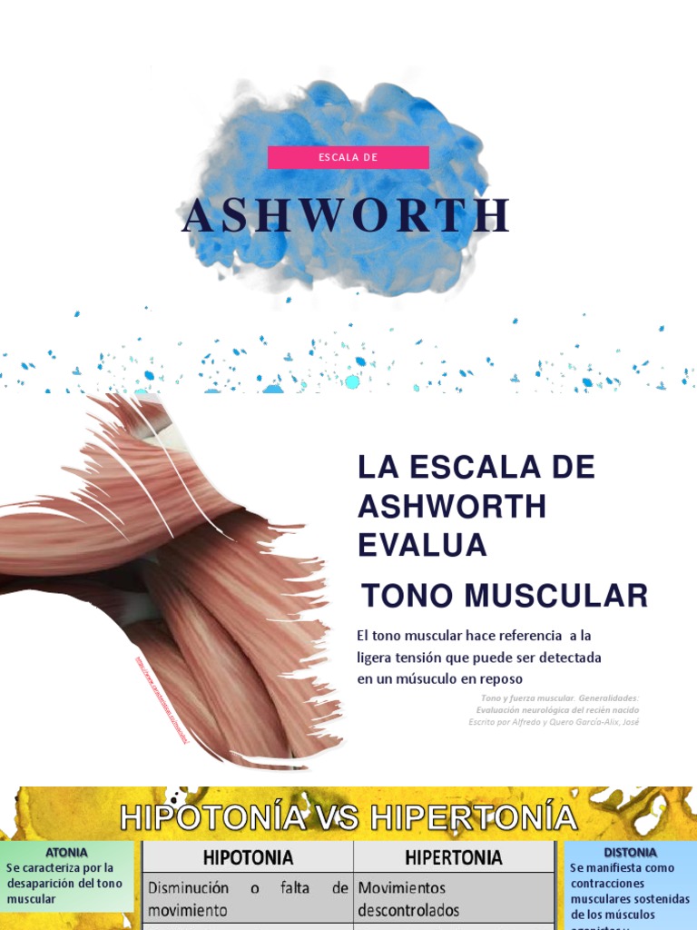 Ashworth PPT Vico | PDF | Músculo | Sistema musculoesquelético