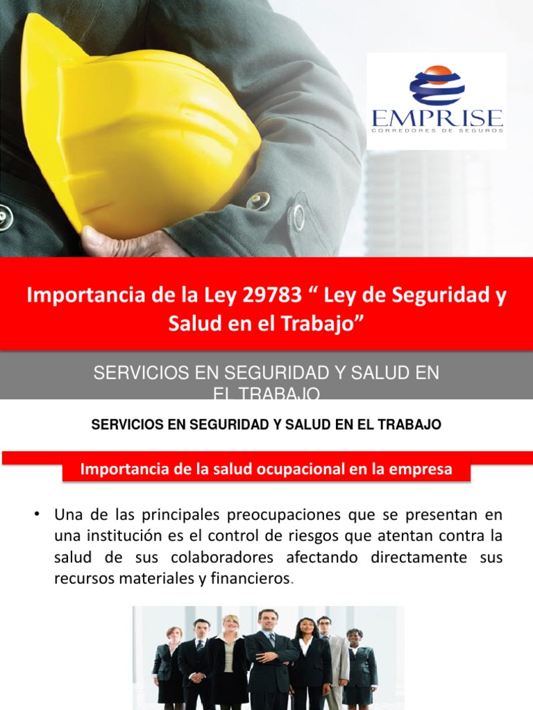 Ley 29783 " Ley de Seguridad y Salud en El Trabajo" | PDF | Seguridad y salud ocupacional ...