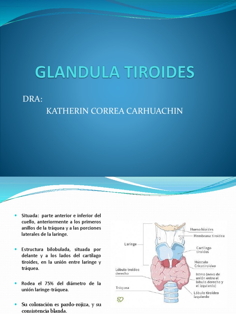 Tiro Ides | PDF | Glándula paratiroidea | Tiroides