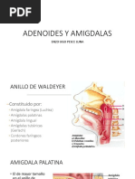 Grados de Hipertrofia Amigdalina y Adenoidea | PDF | Enfermedades y ...