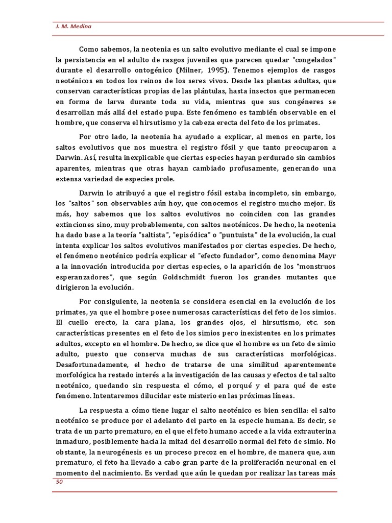 Neotenia: Clave en la Evolución Humana | PDF | Evolución | Biología ...
