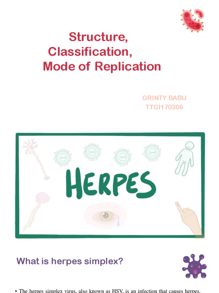 Herpes Virus | PDF | Herpes Simplex | Virus