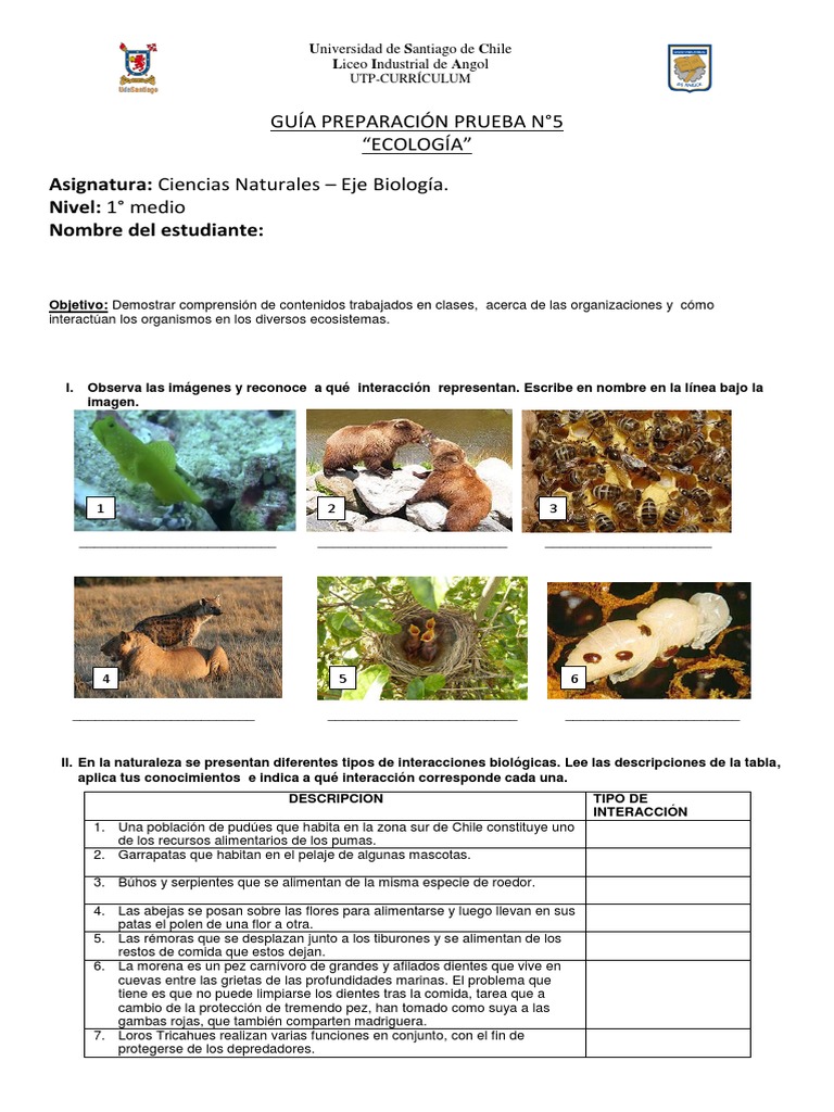 Guía de Ecología para 1° Medio | PDF | Carbón | Dióxido de carbono