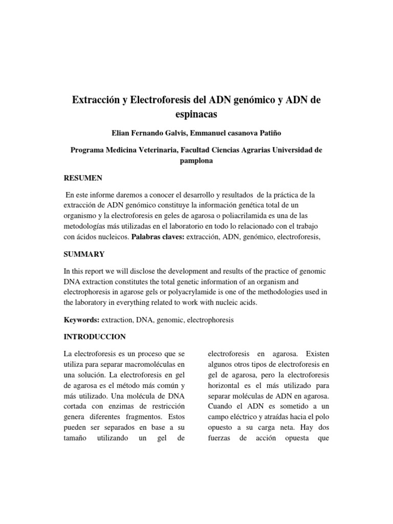 Extracción y Electroforesis de ADN | PDF | Electroforesis | Adn