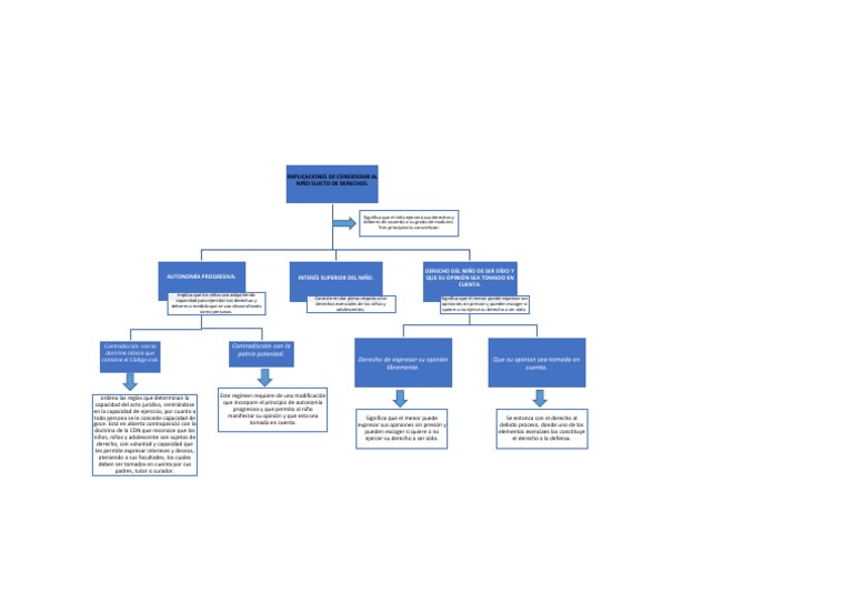 Mapa Conceptual Niño Como Sujeto de Derecho. | PDF | Principios éticos ...