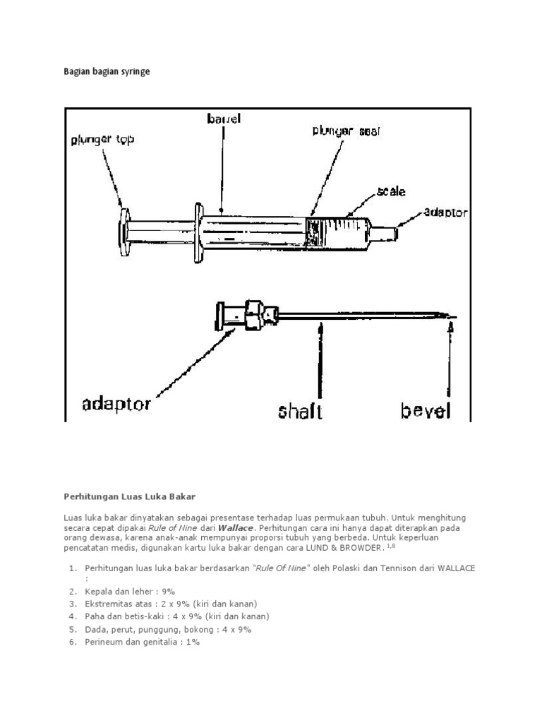 Bagian Bagian Syringe | PDF