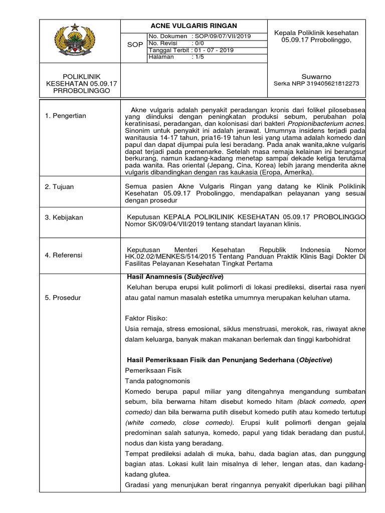 Penanganan Akne Vulgaris Ringan | PDF