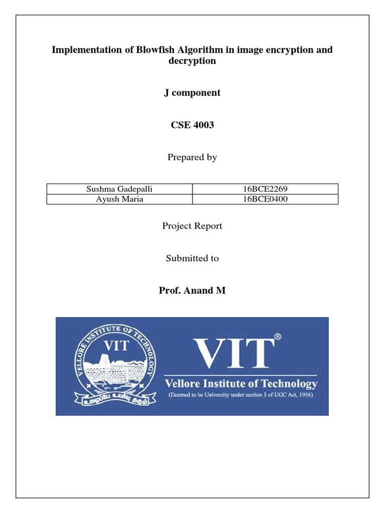 Implementation of Blowfish Algorithm in Image Encryption and Decryption | PDF | Secrecy ...