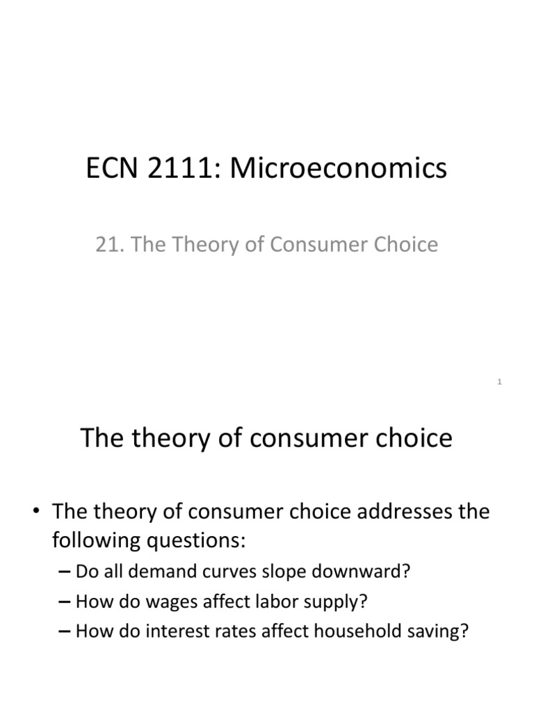 Microeconomics: Consumer Choice Theory | PDF | Supply And Demand ...