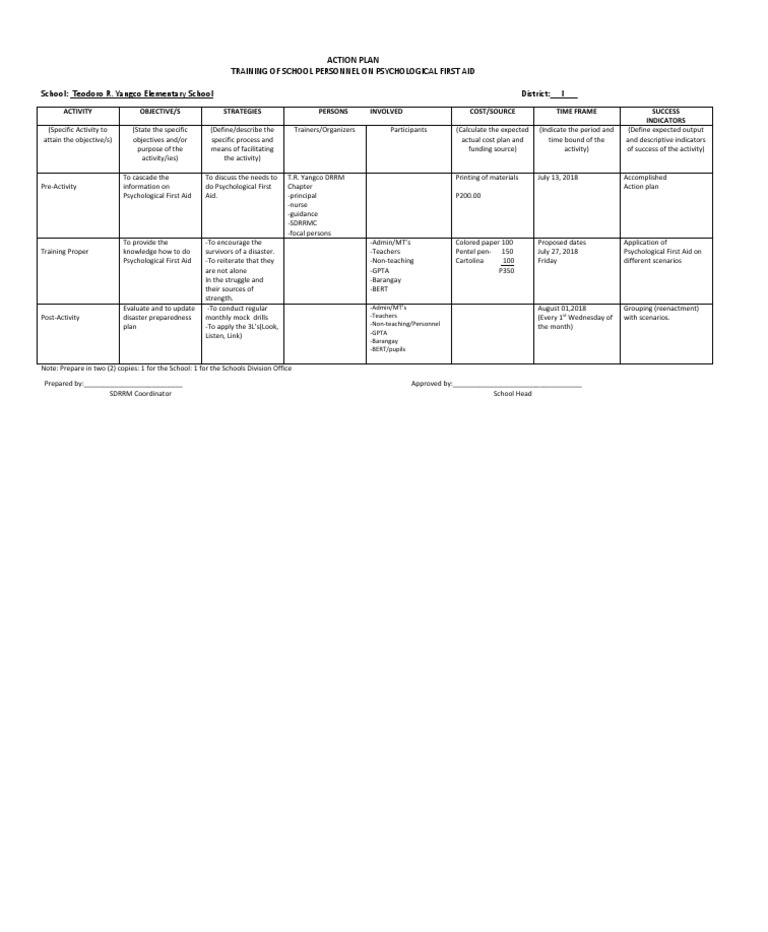 ACTION PLAN Pfa | PDF | Cognition | Business