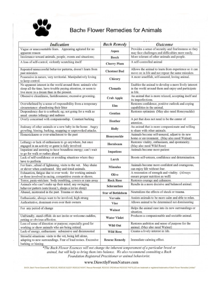 1 PDF Pet Chart | PDF