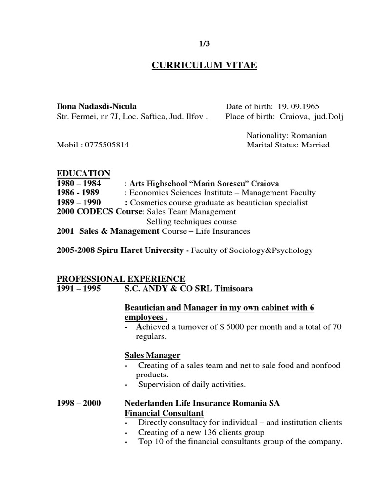 New CV Ilona | PDF | Service Industries | Business