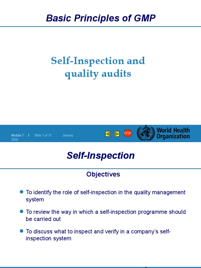 Basic Principles of GMP: Self-Inspection and Quality Audits | PDF ...