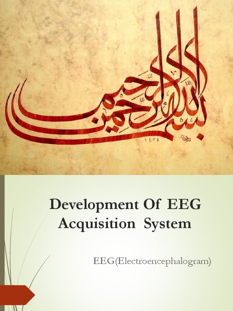 EEG Amplifier Development Board | PDF | Electroencephalography | Amplifier