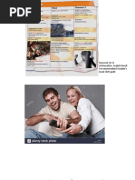 Process Wood Timber | PDF