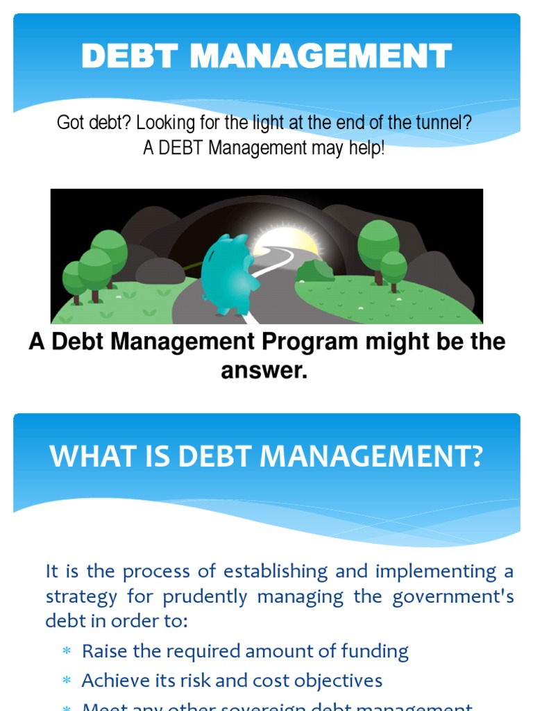 Debt Management Program | PDF | Government Debt | Debt
