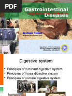 Soflax Tablets: Uses and Dosage Guide | PDF | Bloating | Nausea