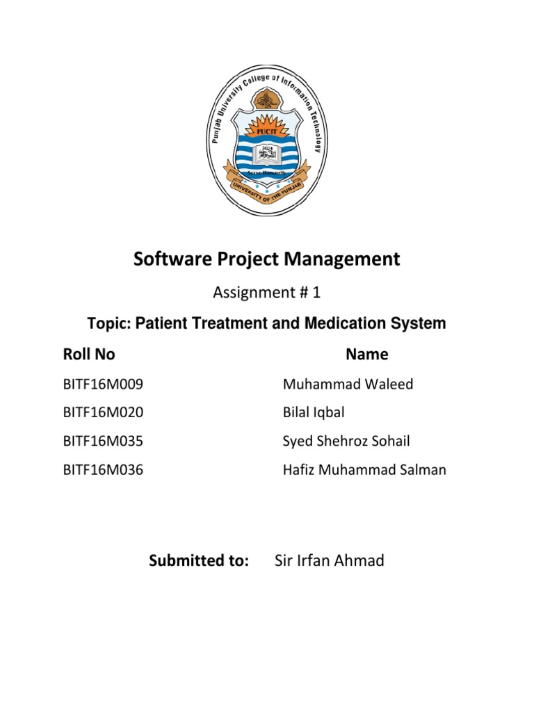Project Charter of Patient Treatment and Medication System | PDF ...