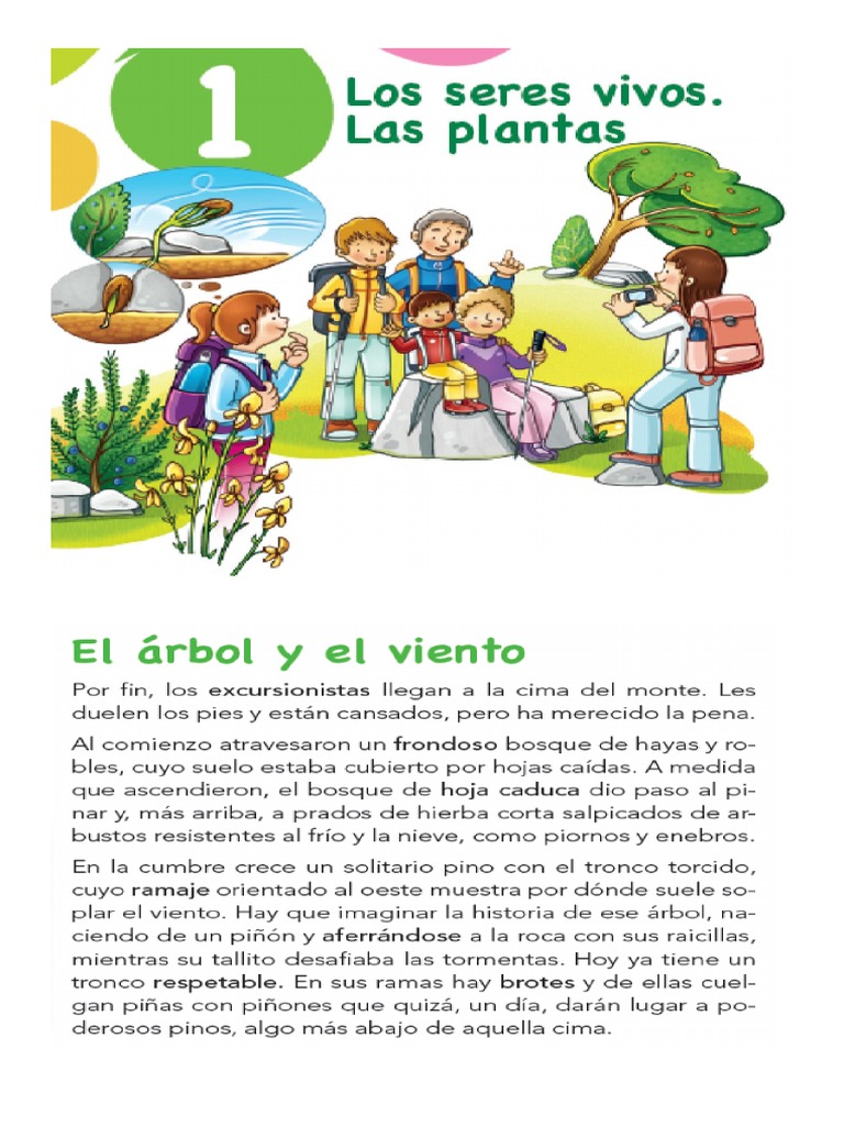 Naturaleza 4º Anaya Ud1 Libro PDF | PDF