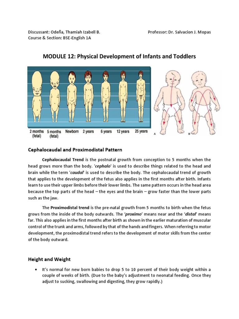 MODULE 12: Physical Development of Infants and Toddlers: Cephalocaudal ...