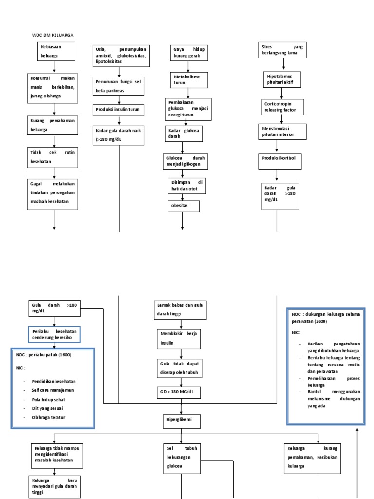 Woc DM Keluarga | PDF
