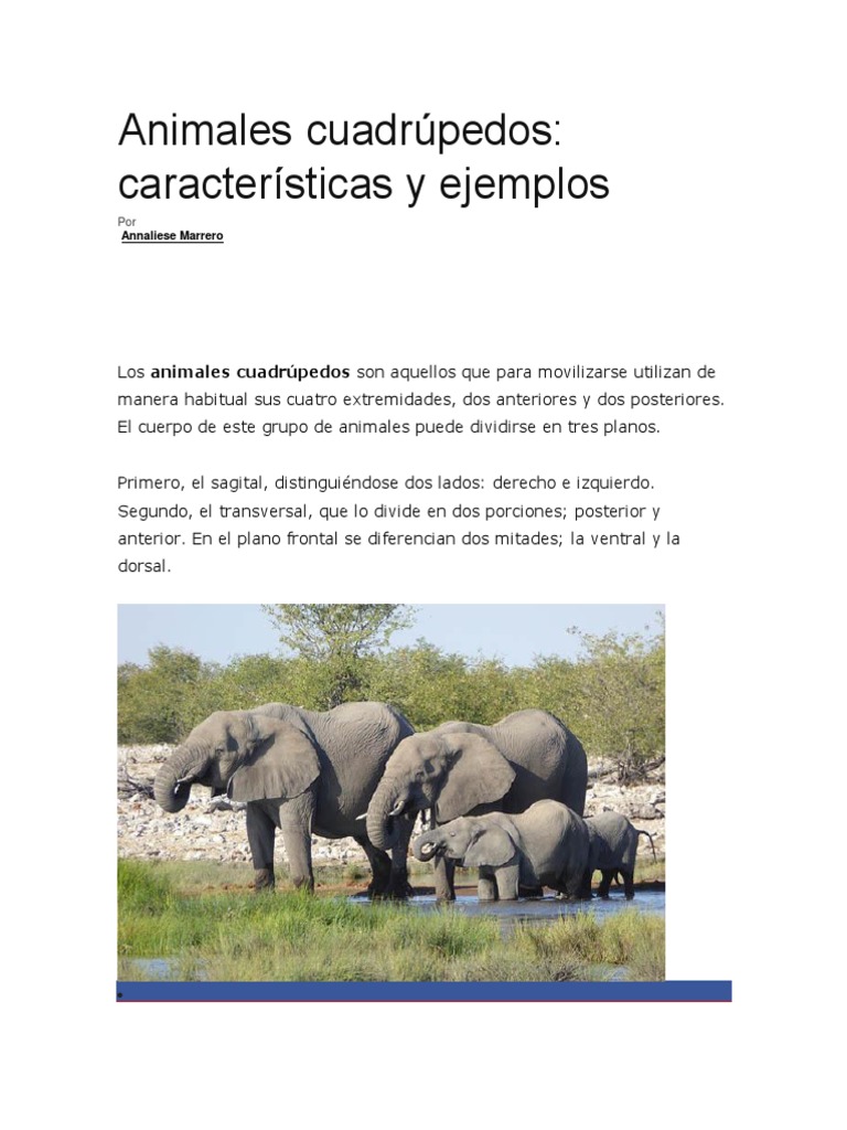 Animales cuadrúpedos: características y ejemplos: Annaliese Marrero ...