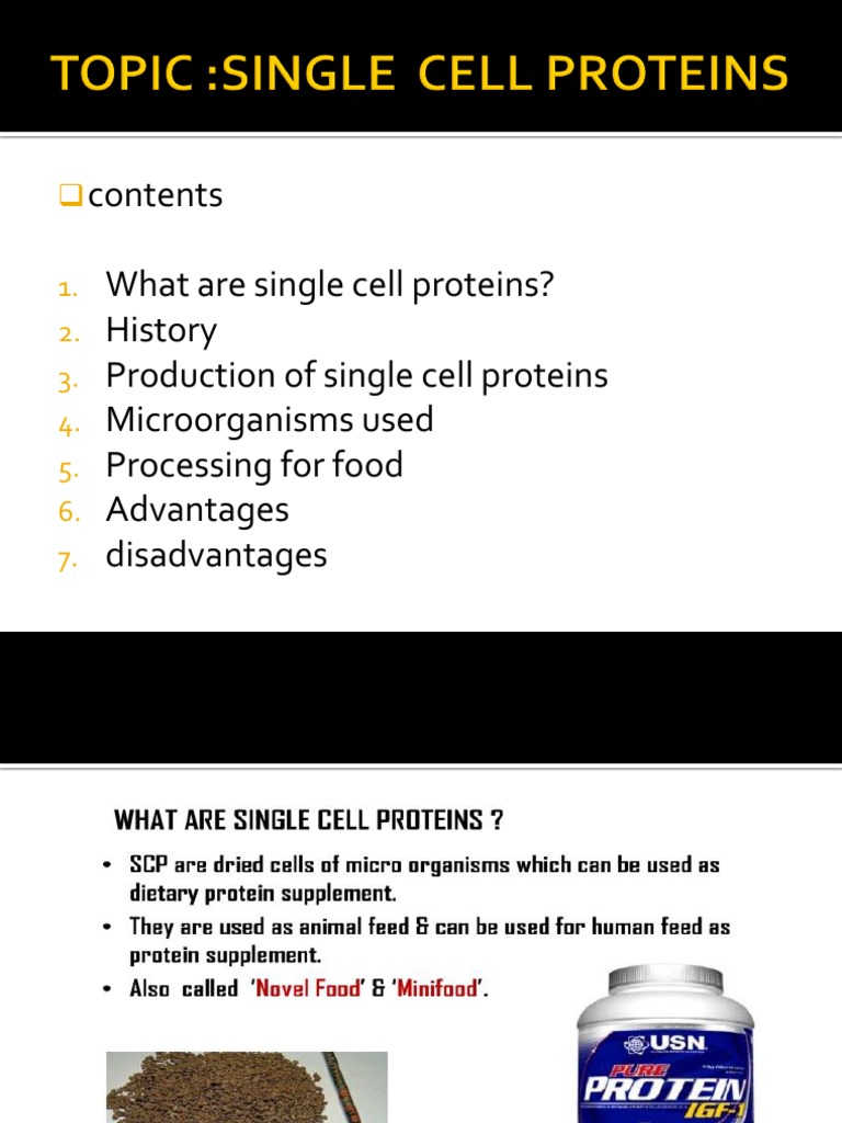 Single Cell Proteins: Benefits & Risks | PDF