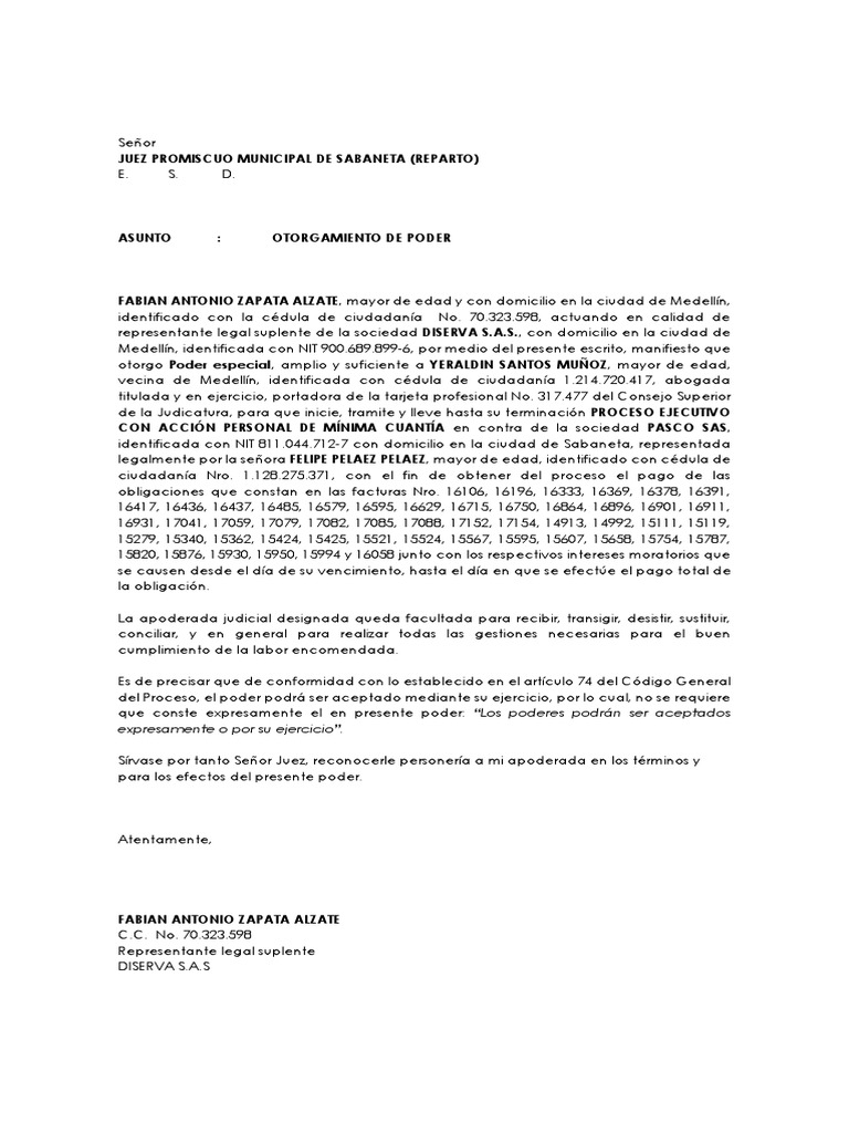 Poder Especial | PDF