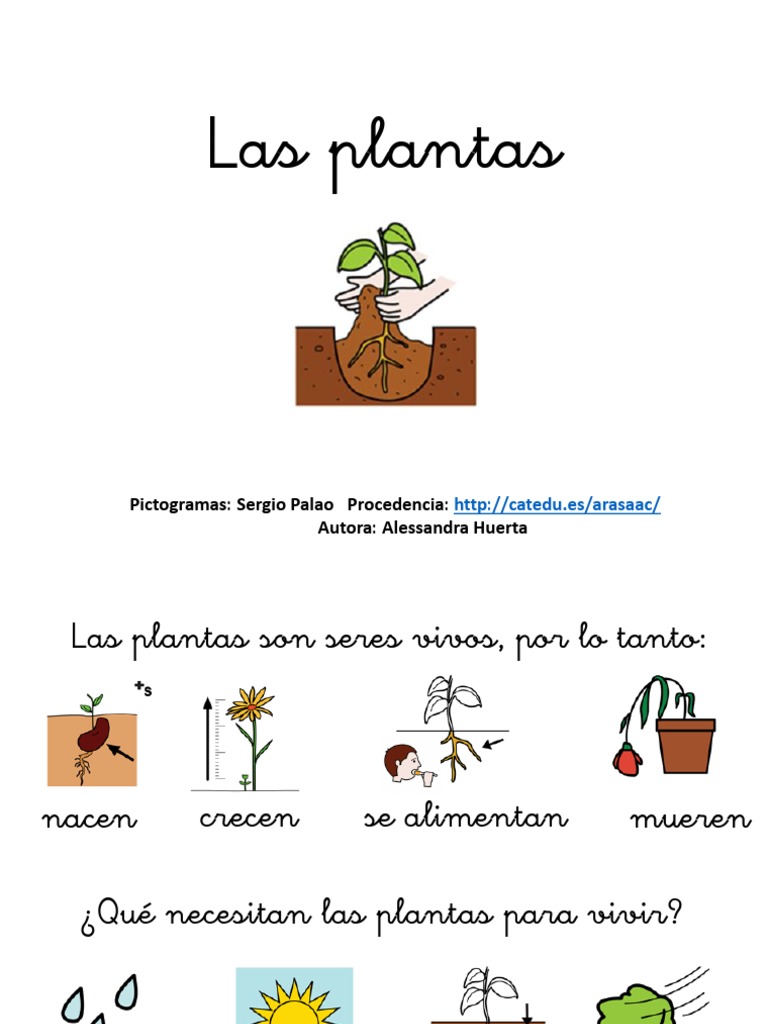 Unidad Didactica Las Plantas PDF | PDF | Flores | Polen