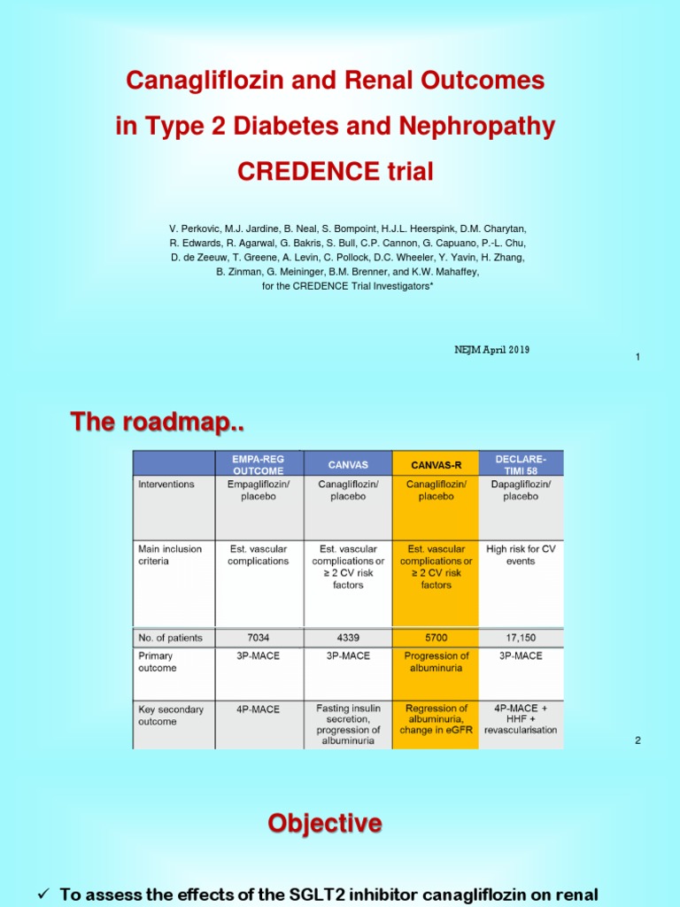 Canagliflozin and Renal Outcomes in Type 2 Diabetes and Nephropathy ...