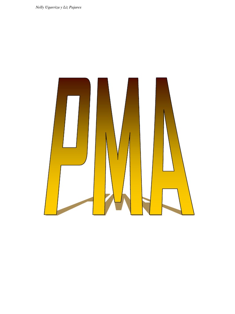 PMA Manual Protocolo Cuadernillo | Descargar gratis PDF | Inteligencia | Enseñanza de matemática