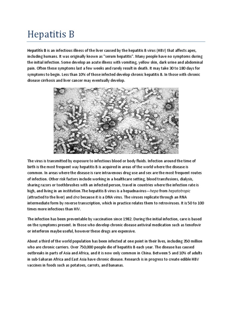 Hepatitis B: Hepatitis B Is An Infectious Illness of The Liver Caused ...