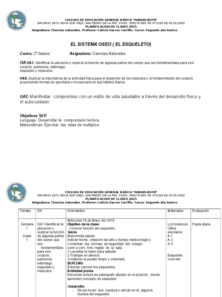 Planificación del Sistema Óseo para 2º Básico | PDF | Educación ...