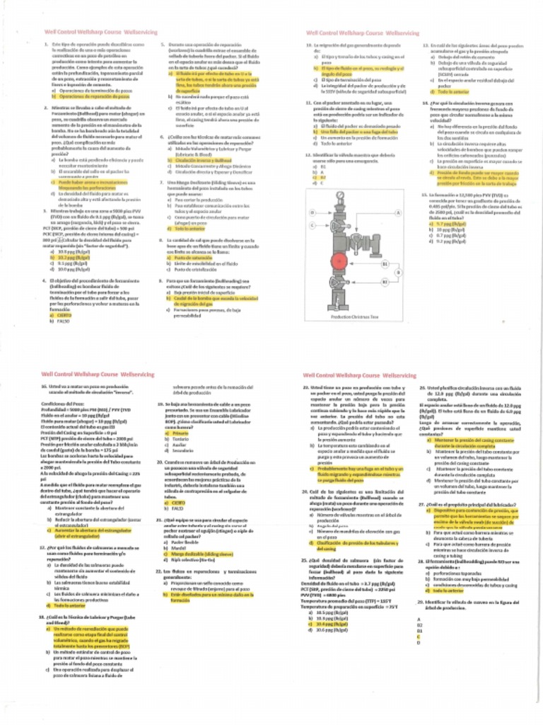 Documentos Sandra | PDF