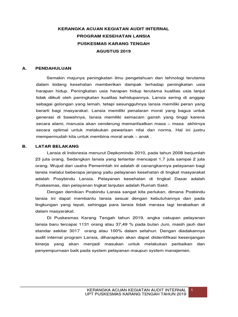 Audit Internal Program Lansia | PDF