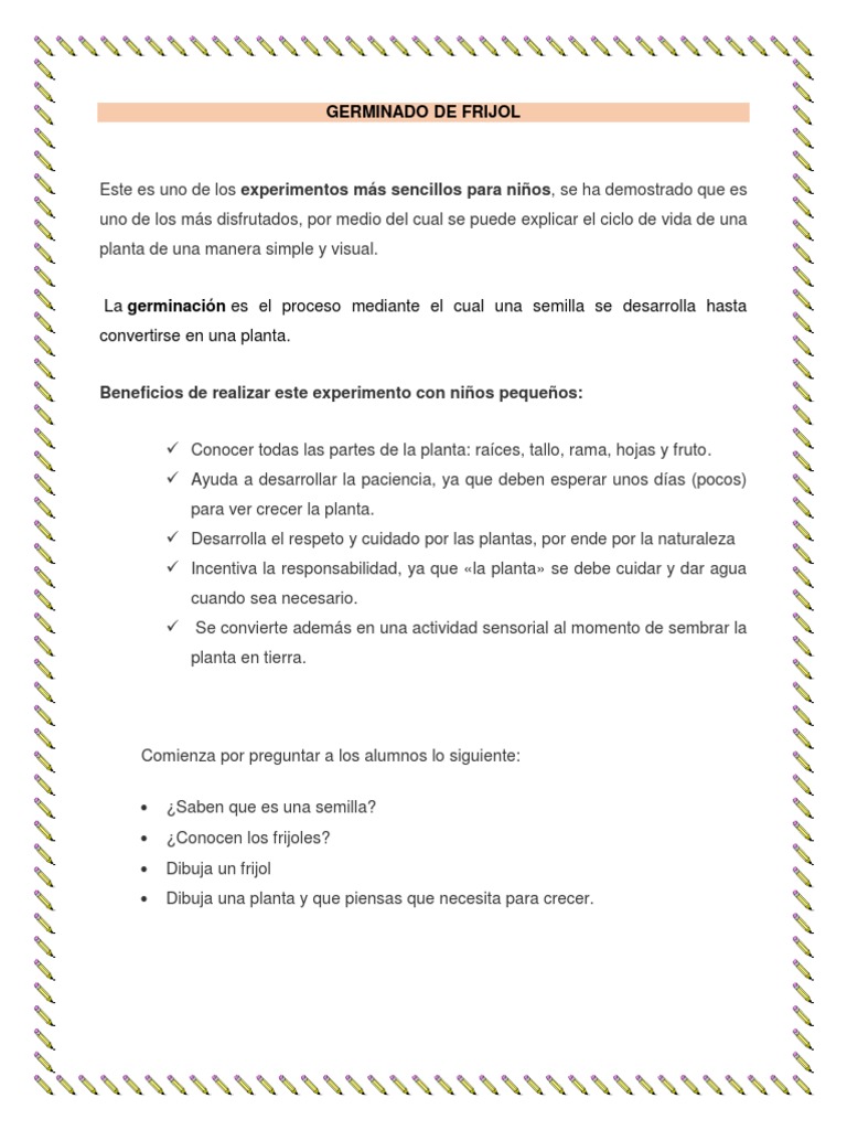 Germinación de Frijol para Niños | PDF