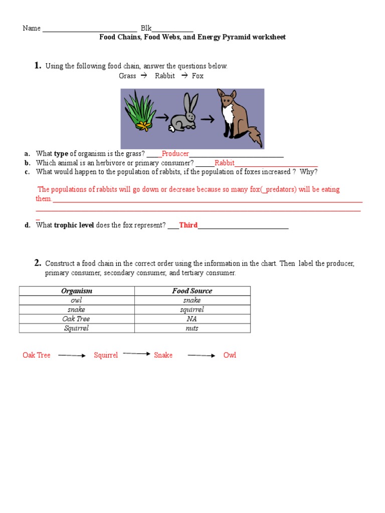 Food Chains Review Handout With Answers 1whl5v4 | PDF | Food Web ...