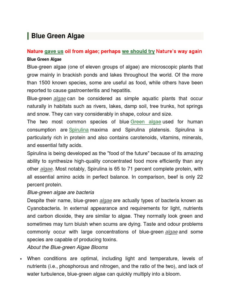 Blue Green Algae | PDF | Cyanobacteria | Algae