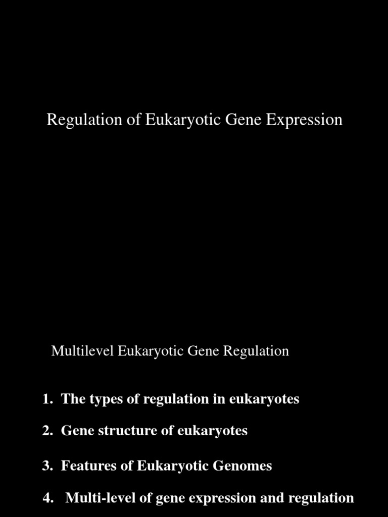 Eukaryotic Gene Expression Rev | PDF | Regulation Of Gene Expression ...