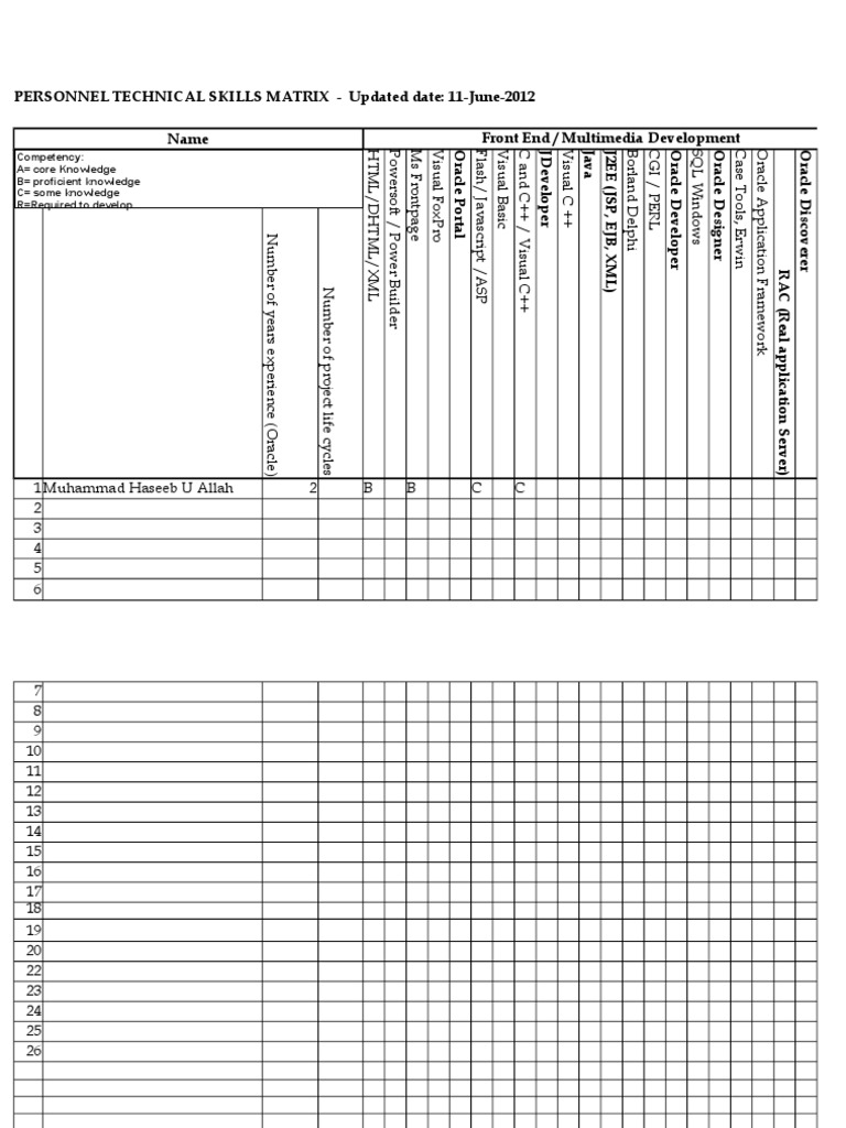 Oracle Team Skills Matrix | PDF | Oracle Database | Application Software