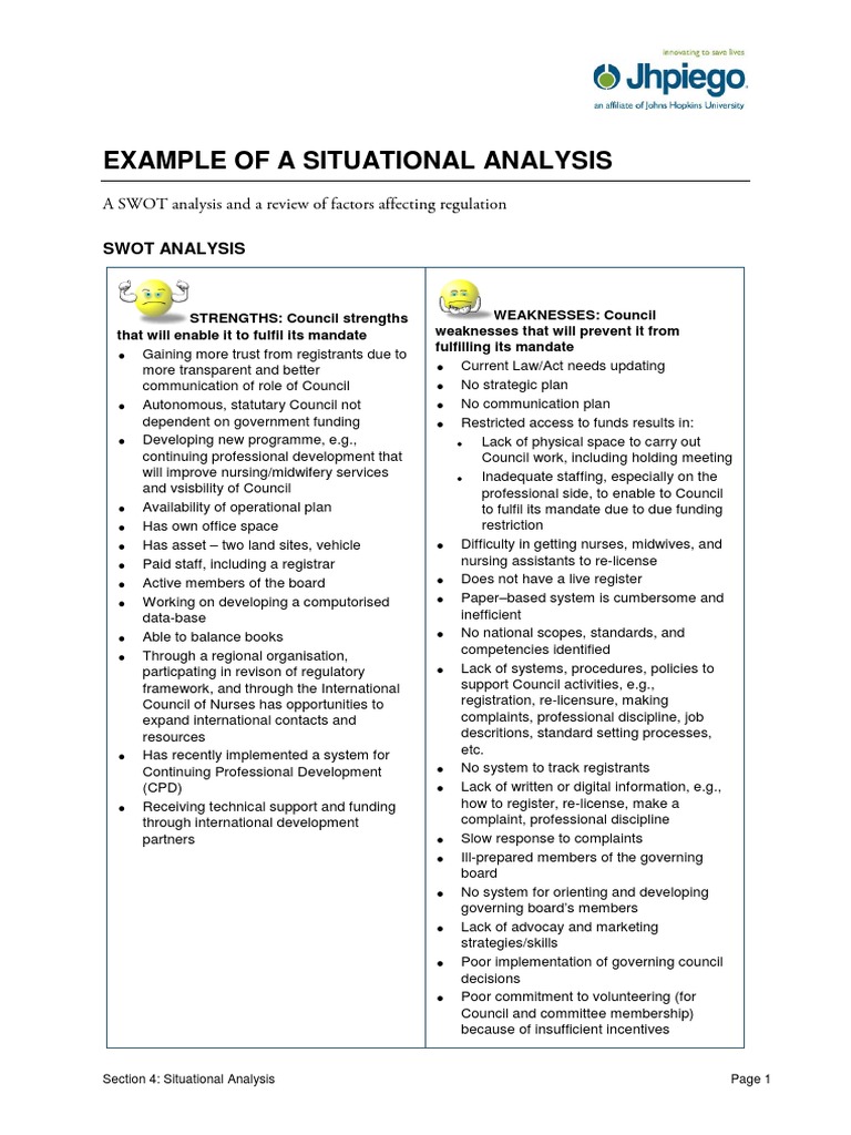 Example of A Situational Analysis | PDF | Nursing | Health Professional