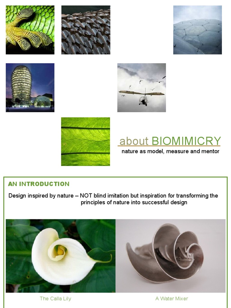 Bio Mimicry | PDF | Waste | Recycling